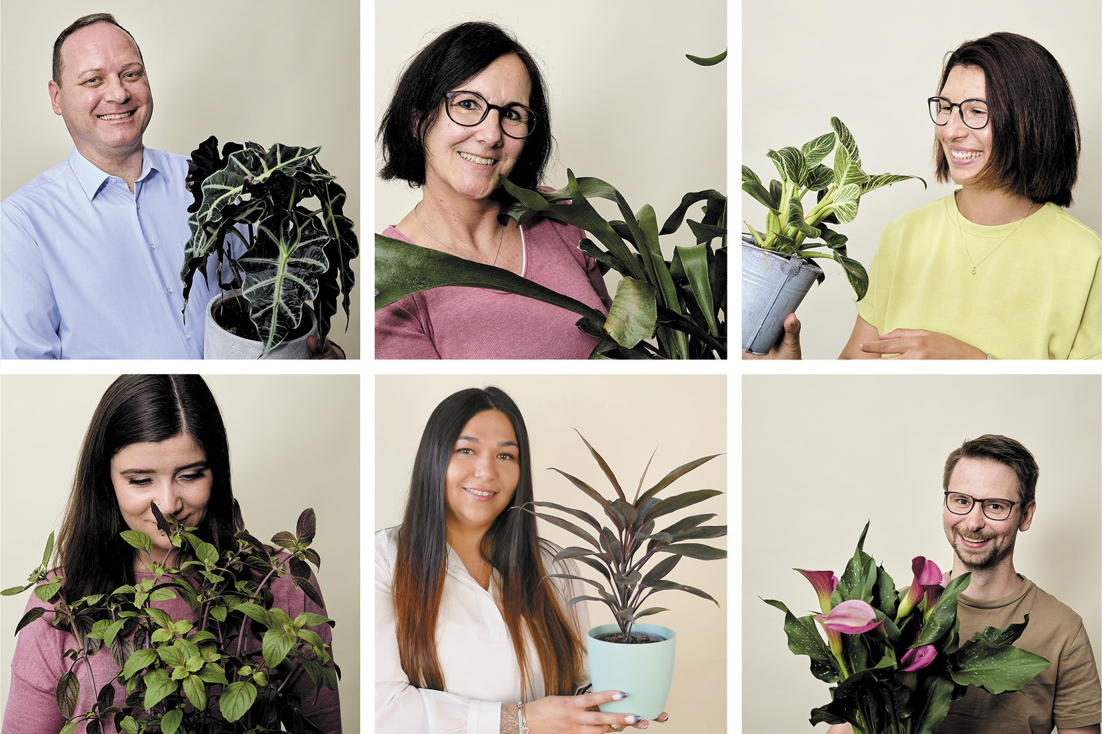 My Floramedia - Floramedia.de